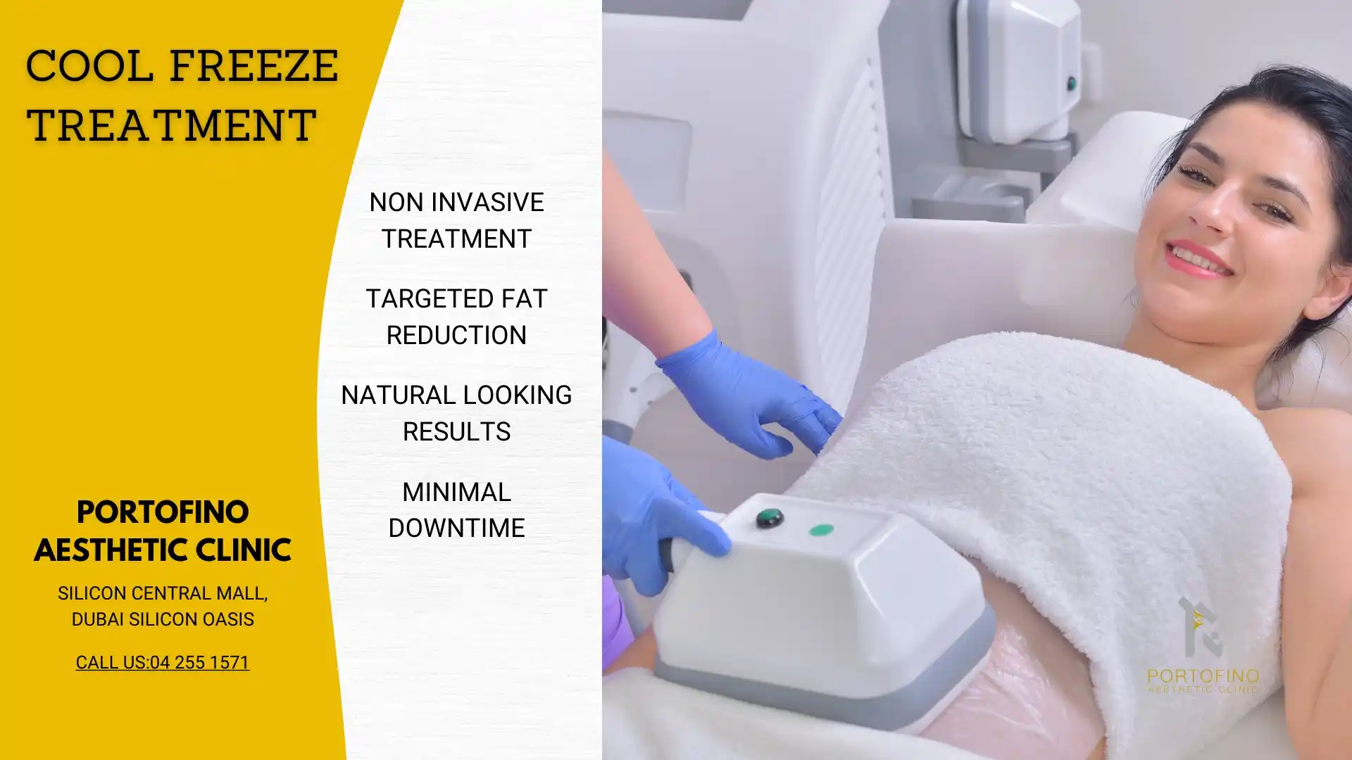 Fat Freezing Treatment In Dubai [Best] - Portofino Clinic